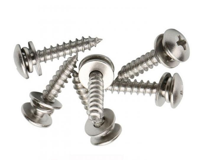 Customized Cross Recessed Pan Head Tapping Screw And Plain Washer Assembly