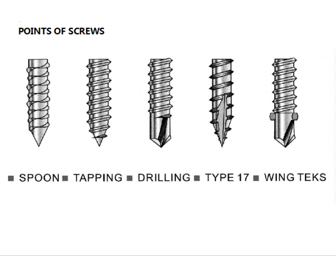 Bi Metal Self Drilling Screw With Alloy Steel Tip Fusion Customized ...