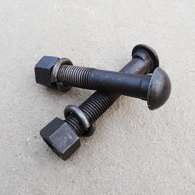 Round Head Rail Fish Bolt DIN 5903 - 1/ Elliptic Neck Track Bolts ASME ...